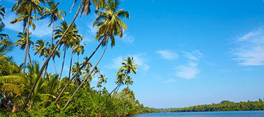 Book Nanu Beach Resort & Spa, South Goa tour packages, Goa sightseeing ...