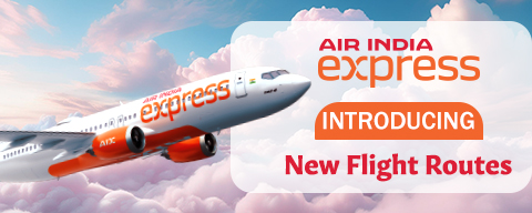 Spicejet Web Check In: Spicejet Web Check in Online for Domestic ...